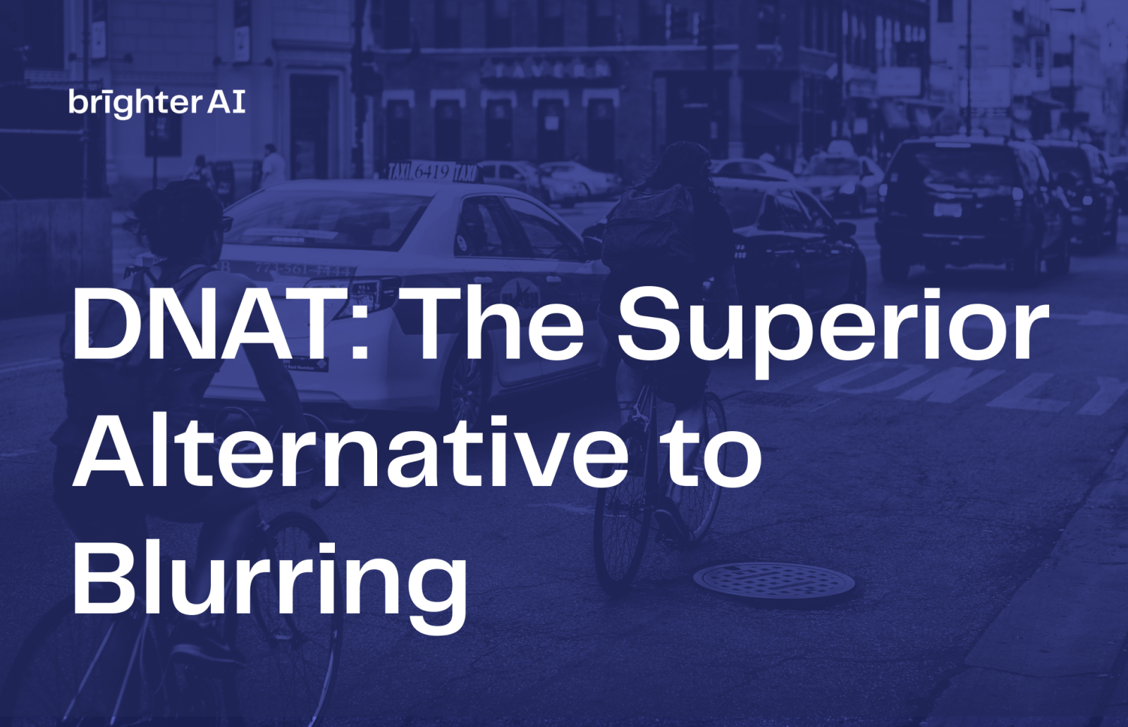 DNAT: The Superior Alternative to Blurring - brighter AI
